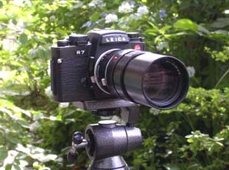 ライカ・R型 LEICA 丘のうえの小さな写真館 撮影機材 ライカ・R型 LEICA 丘のうえの小さな写真館 撮影機材